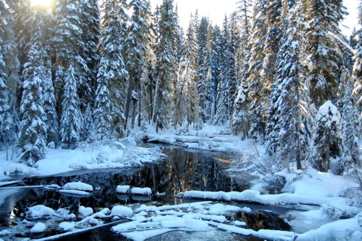 Enjoy A Perfect Winter Weekend In Detroit, Oregon With This 2-Day Itinerary