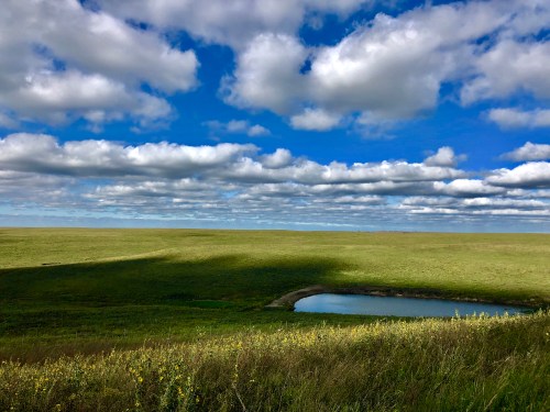 9 “Hidden Gems” in Kansas We’ve Always Known About but Can’t Stop Visiting