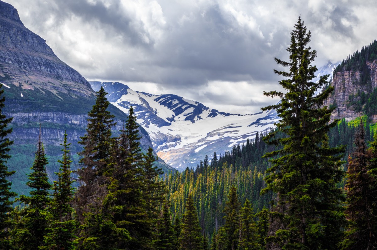 Jaw-Droppingly Beautiful, Jackson Glacier in Montana Shows Off Nature’s ...