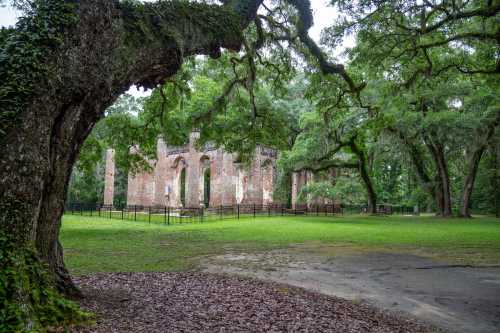 Explore A South Carolina Amish Community In Blackville
