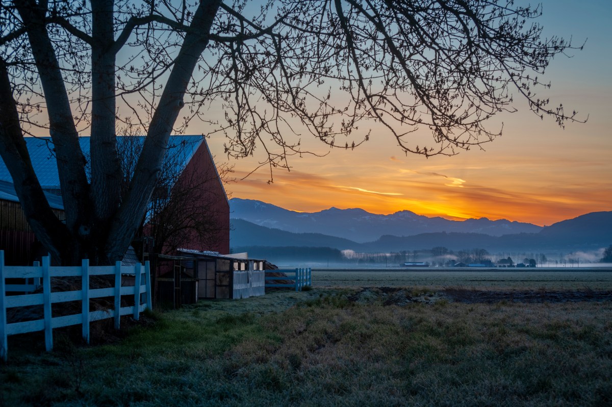 Unique Places to Stay in Washington: 10 Cool & Quirky Rentals