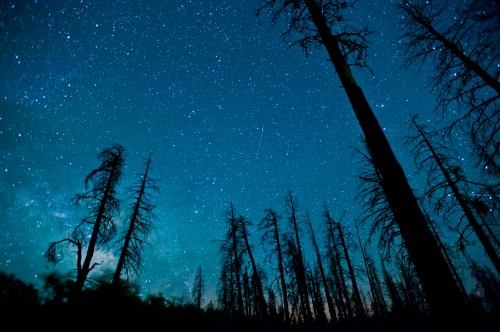7 Things to Do in the Dark in Arizona and It’s Not What You Think