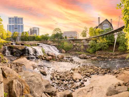 Explore Lynches River County Park: Trails, Canopy Walk & More