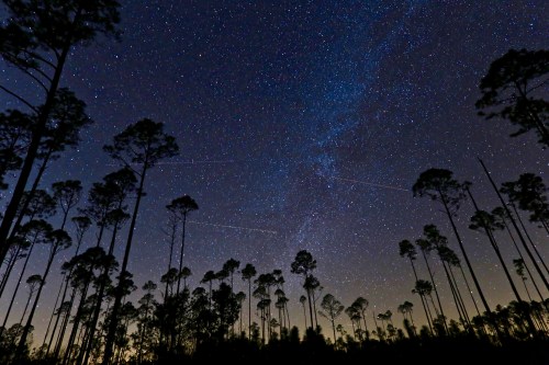 Best Stargazing in Georgia: Stephen C. Foster State Park in Fargo, GA