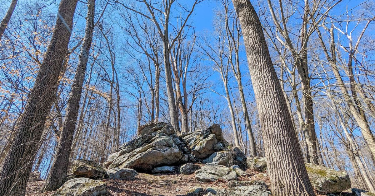 Explore Millstone Loop at White Clay Creek State Park in DE