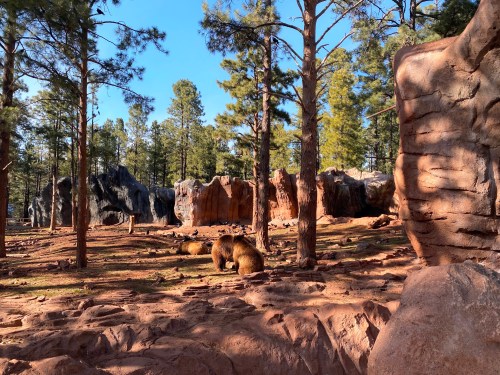 Activities for Restless Kids: 7 Fun-Filled Places in Arizona