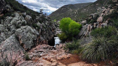 Activities for Restless Kids: 7 Fun-Filled Places in Arizona