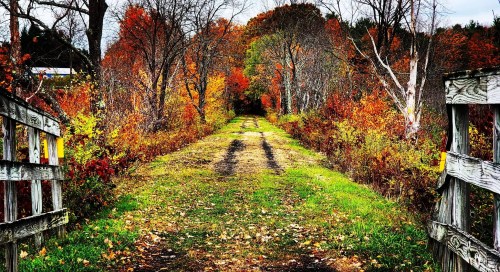 My New York Bucket List for 2025