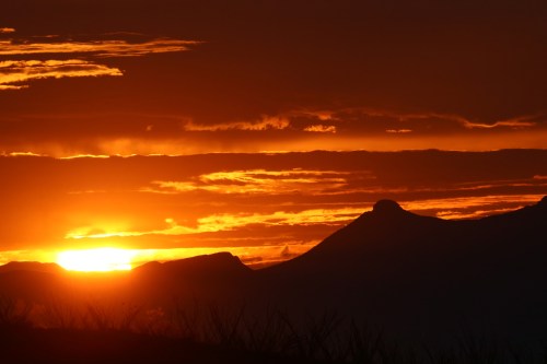 Douglas, Arizona: The Perfect Day Trip Destination