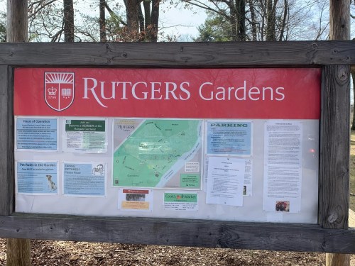 Winter in Rutgers Gardens Is a Unique and Magical Experience