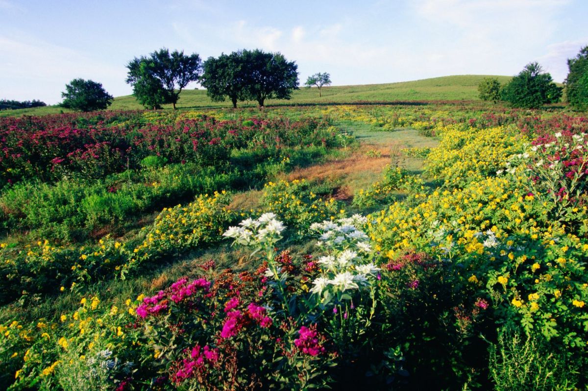 Visit These 12 Incredible Charming Small Towns in Kansas, One for Each ...