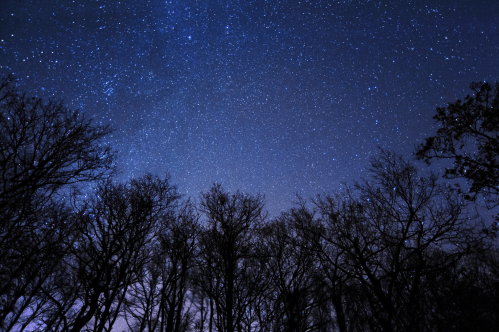 Drive To The Ebright Azimuth, The Highest Point In Delaware