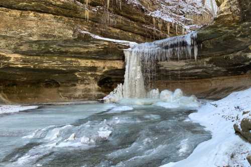 Sock Monkey Museum: A Hidden Gem Museum In Long Grove, IL