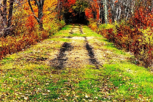 New York Route 5 Runs Through All Of New York And It's Beautiful