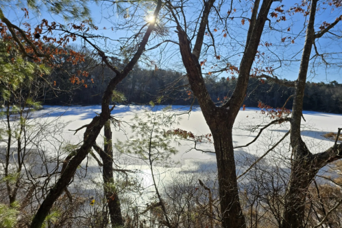 Carbuncle Pond: Hidden Gem Pond In Coventry, Rhode Island