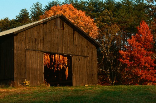 Visit These 12 Incredible Charming Small Towns in Kentucky, One for ...