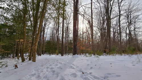 Best Winter Destinations in Virginia: Visit Westmoreland State Park in ...