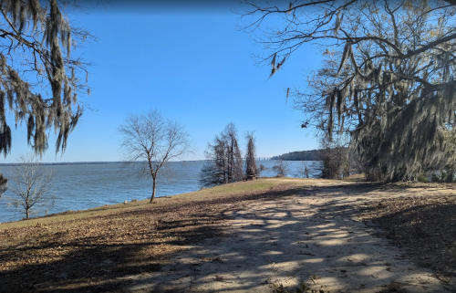 Best Winter Parks in South Carolina: Explore Santee State Park in ...