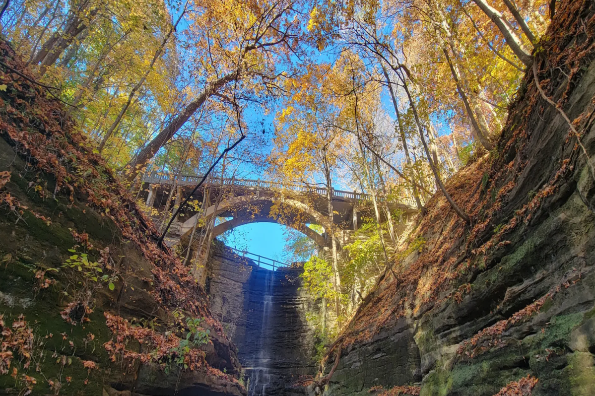 The Best Day Trips In Illinois For Your Whole Year