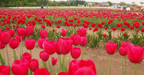 Rhode Island Bucket List: 26 Things to Do in 2026