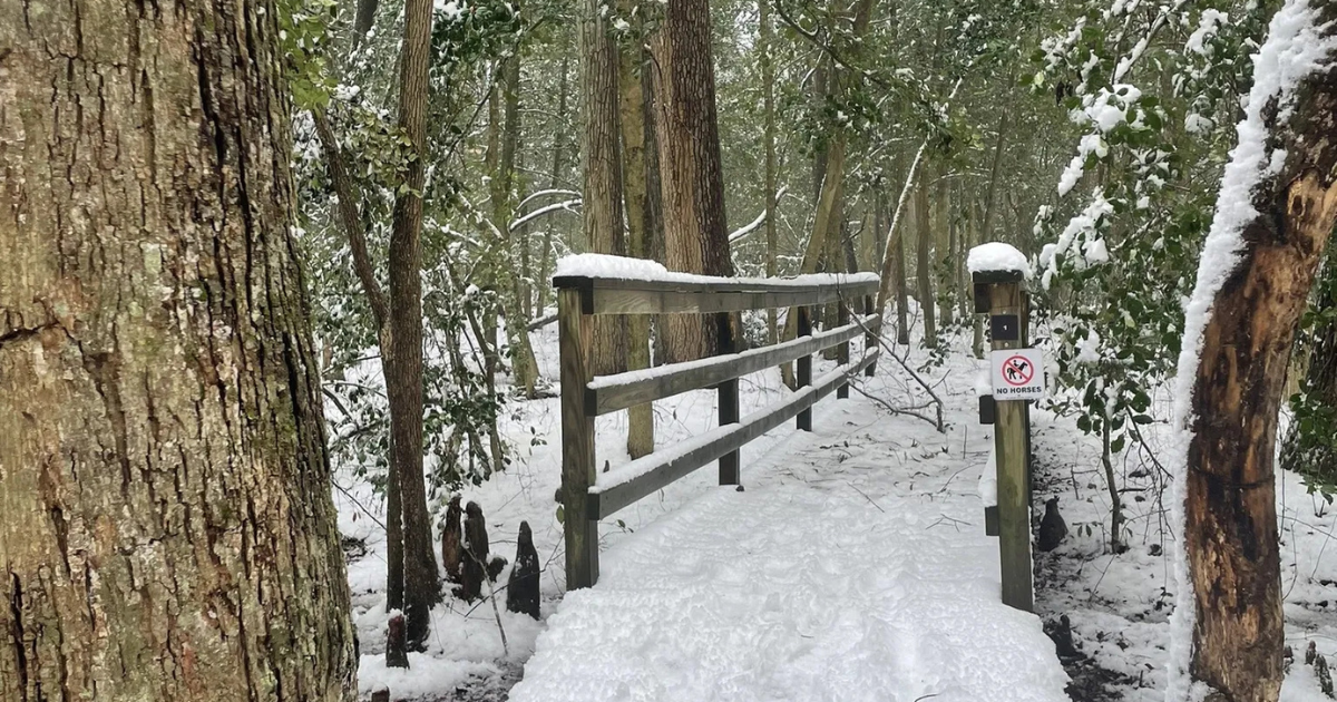 This Delaware Landscape Turns Into a Serene Frozen Wonderland During Winter