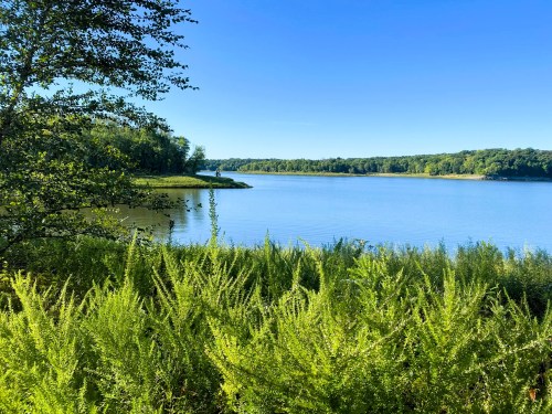 Sugar Bottom Recreation Area in Iowa: Waterfront Hiking Adventure, Solon IA