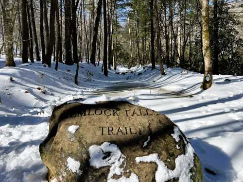 Winter Destination in Georgia: Hemlock Falls and Moccasin Creek ...