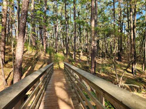 Adventurous Waterfall Hike in Tyler, TX: Whispering Pines Nature Trail ...