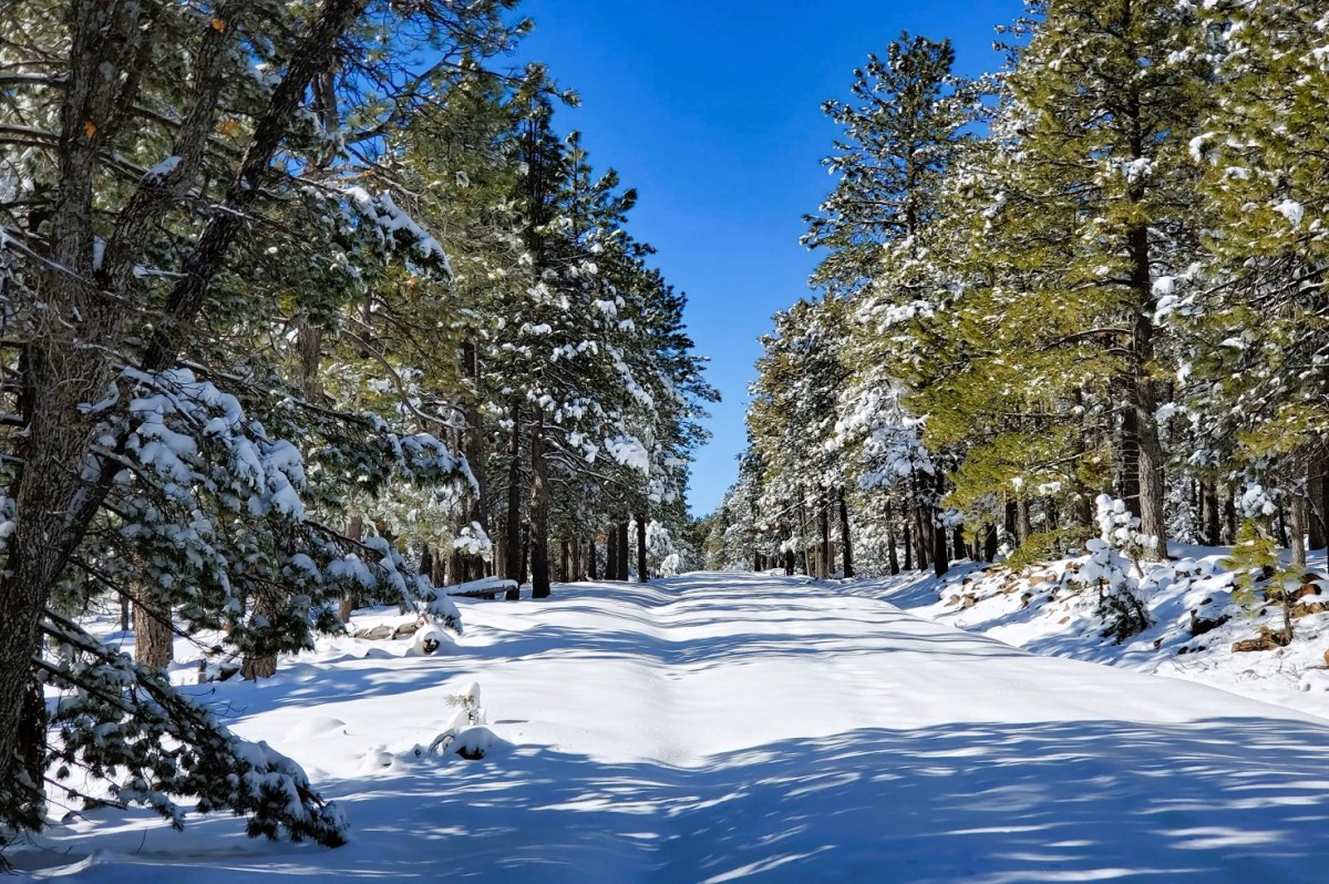 Best Winter Town in Arizona: Payson, the Perfect Snowy Escape