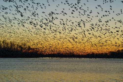 Day Trips in Delaware: One for Each Month of the Year