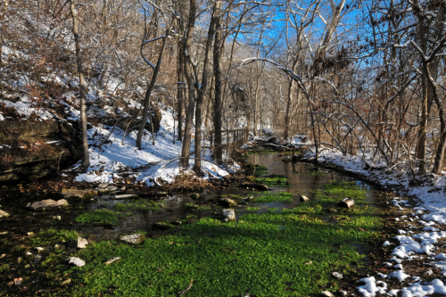 Maple Syrup Making in Missouri