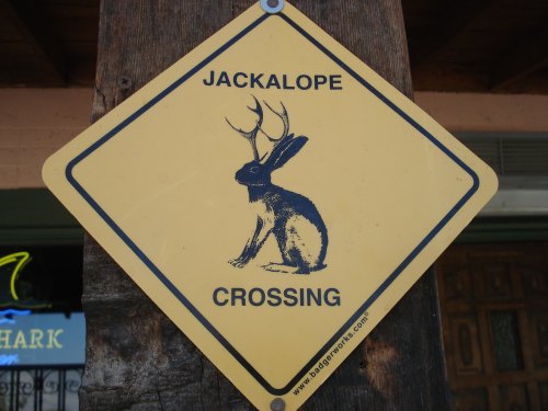 The Legend of the Wyoming Jackalope is Larger Than Life at This Small ...