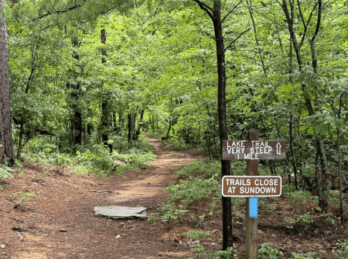 18 Best Hikes In Alabama: Top-Rated Hiking Trails To Visit