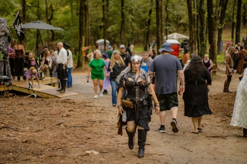 Unique Viking Festival in Arkansas: The Viking Thing in Mount Vernon