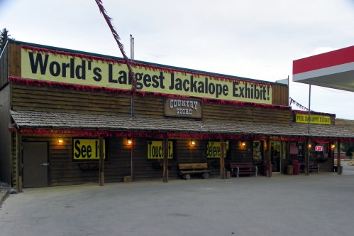 The Legend of the Wyoming Jackalope is Larger Than Life at This Small ...