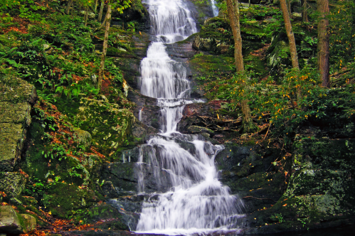 Five Of The Most Scenic Train Rides In New Jersey
