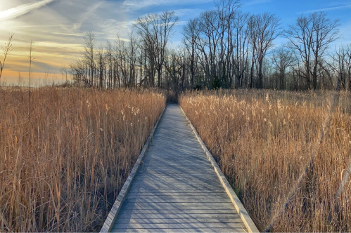 6 Wild Animals In Delaware That Will Leave You Speechless