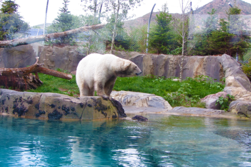 Salt Lake In Texas: La Sal Del Rey In Edinburg