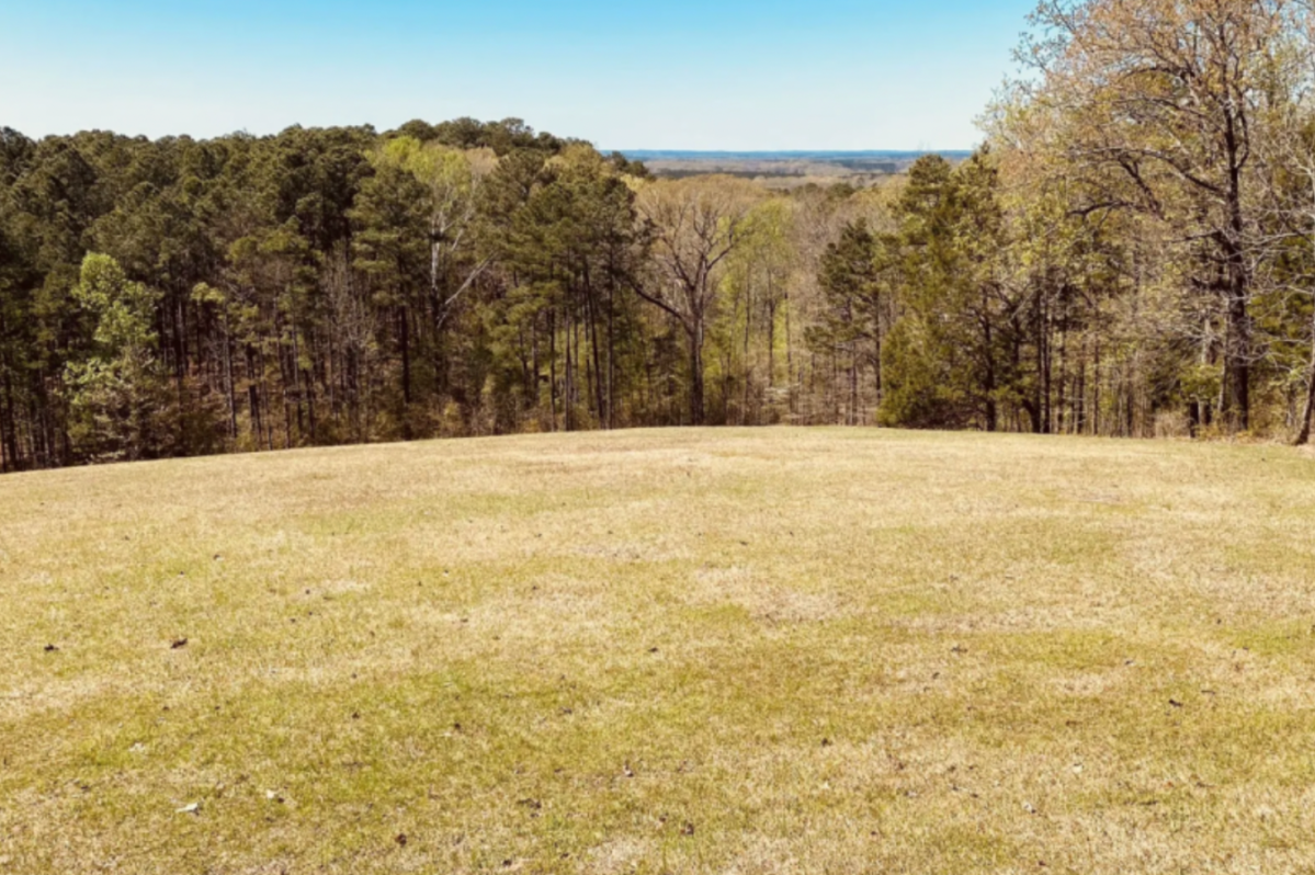 Romantic Hikes in Mississippi: Explore Little Mountain Trail in Jeff ...