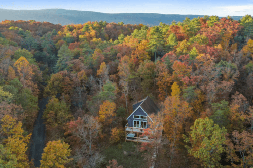 10 Fun Facts About Virginia You Probably Didn't Know