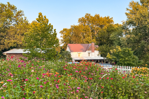 Gooseberry Bridge Farm: Visit a Flower Farm With Baby Animals in ...