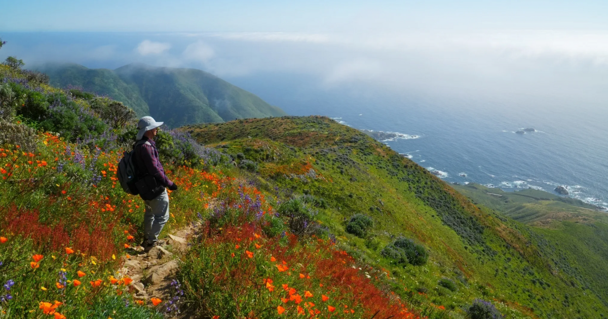 Garrapata State Park: Home to the Most Romantic Hiking Trail in ...