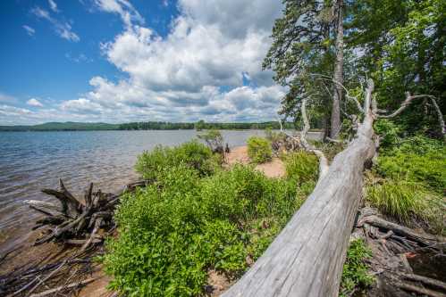 Best Road Trips In maine: 11 Best Road Trips + Itinerary