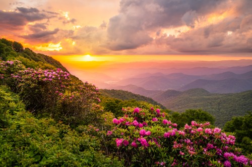 A Picturesque Road Trip Through the Carolinas