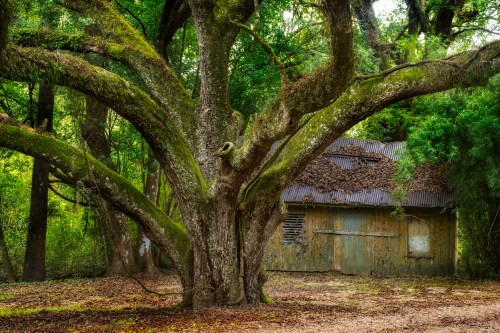 Best Road Trips in Louisiana: 12 Road Trip Ideas + Itinerary