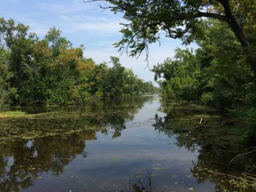 Louisiana Road Trip Ideas: 12 Best Road Trips + Itinerary