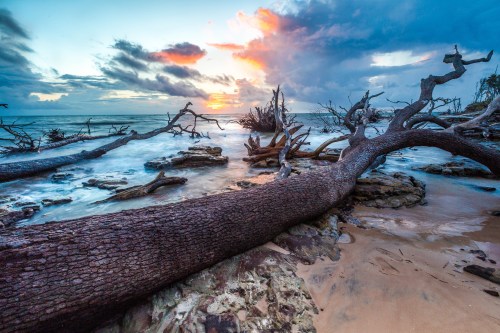 Dig For Crystals At Rock's Pit At Fort Drum Crystal Mine In Florida