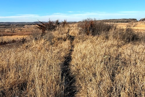 This Ancient Rock Formation in Minnesota Is One of the Oldest on Earth