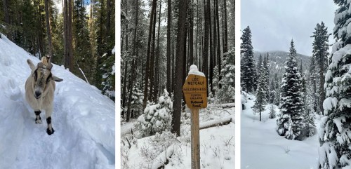 The 15 Best Things To Do In Montana In Spring