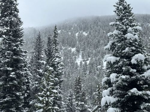 The 15 Best Things To Do In Montana In Spring